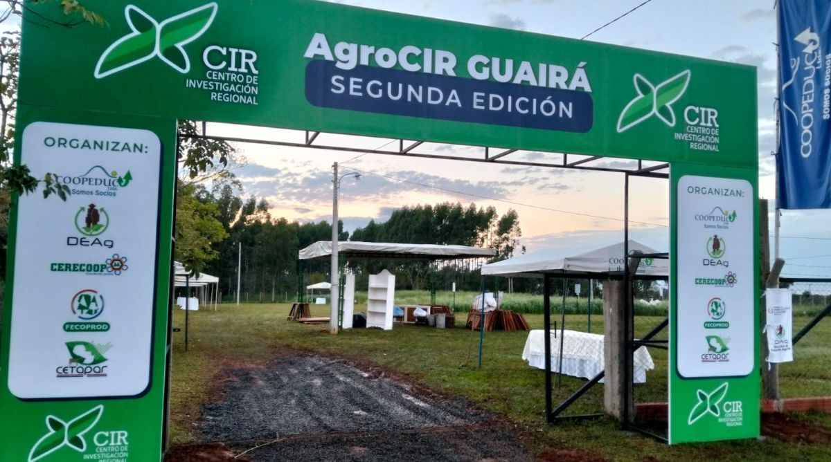 AGROCIR: Fecoprod apoya la adopción de prácticas que mejoran la ...